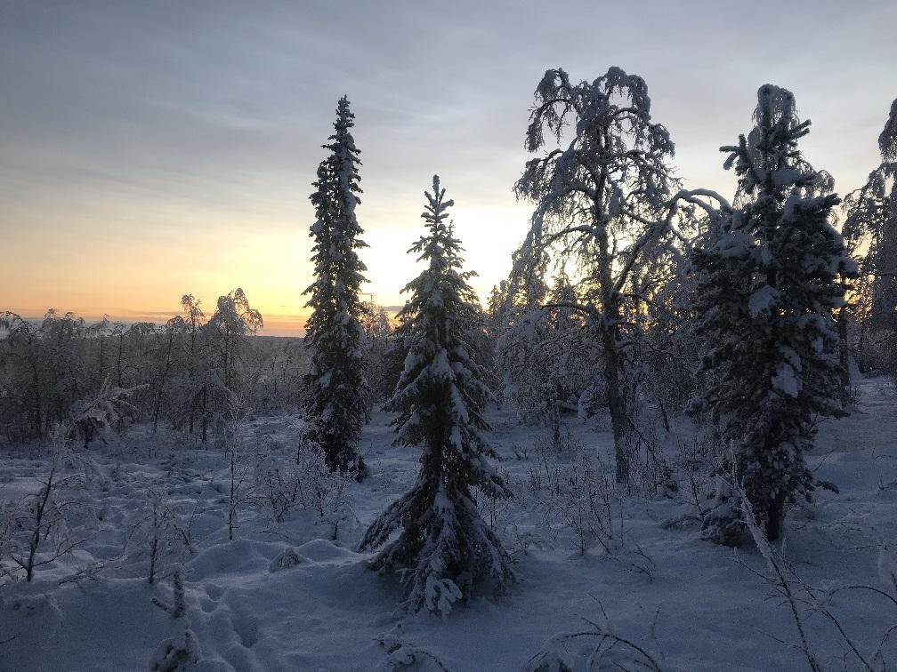 Kristallen Lannavaara Sweden | Gem-A