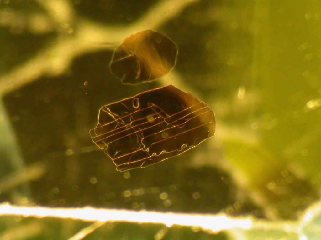 Gemmology Insights: Why Is Peridot Described As Oily? | Gem-A