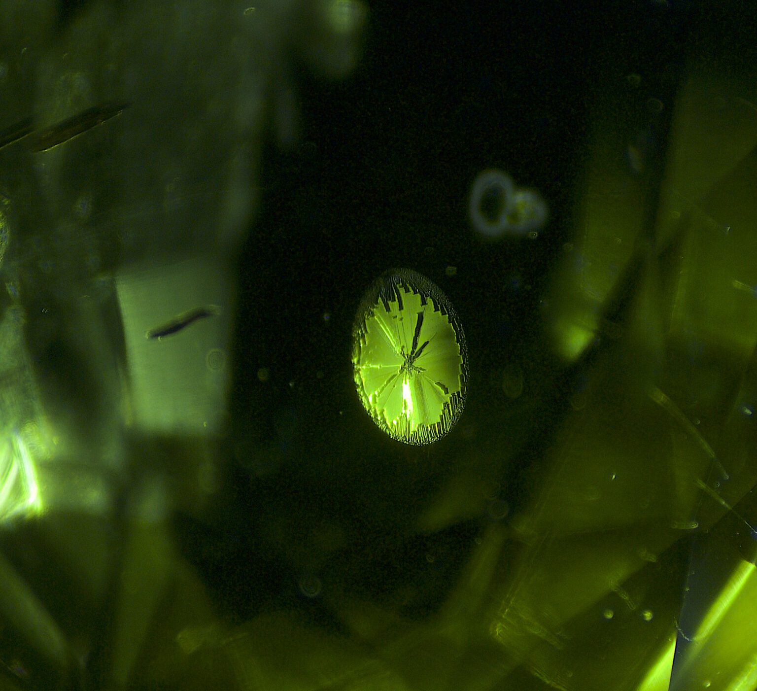 Gemmology Insights: Why Is Peridot Described As Oily? | Gem-A