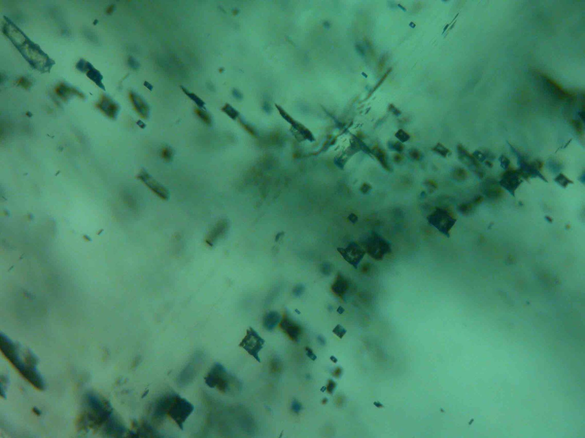 Gemmology Insights: Once In A Lifetime Inclusions For Gemmologists | Gem-A